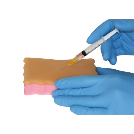 Simulateur d'injection sous-cutanée et IM canine | Teamalex Medical